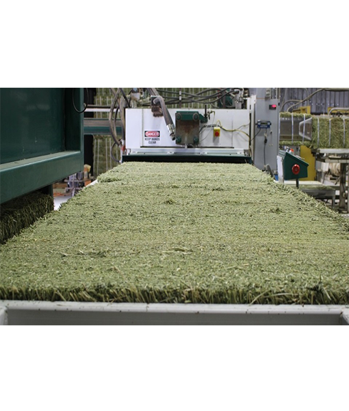 Wholesale Bulk Alfalfa HayBabaash USA