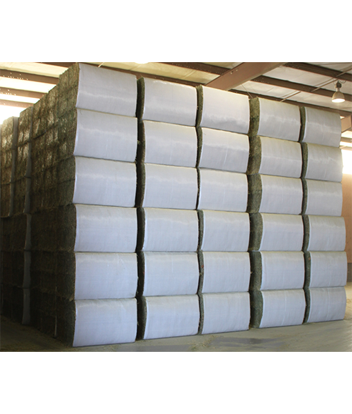 Wholesale Bulk Alfalfa HayBabaash USA