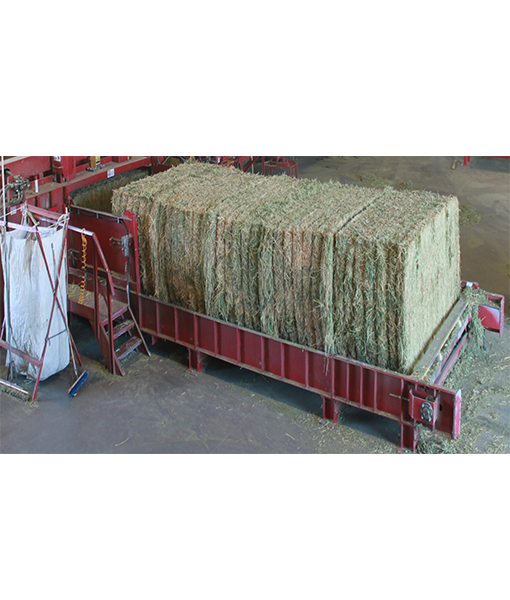 Wholesale Bulk Alfalfa HayBabaash USA