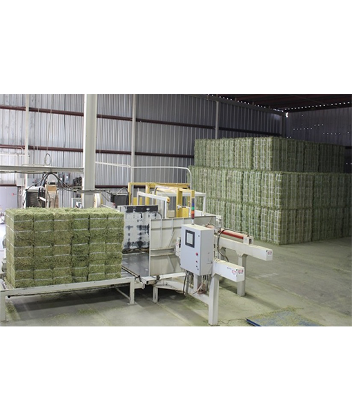 Wholesale Bulk Alfalfa HayBabaash USA