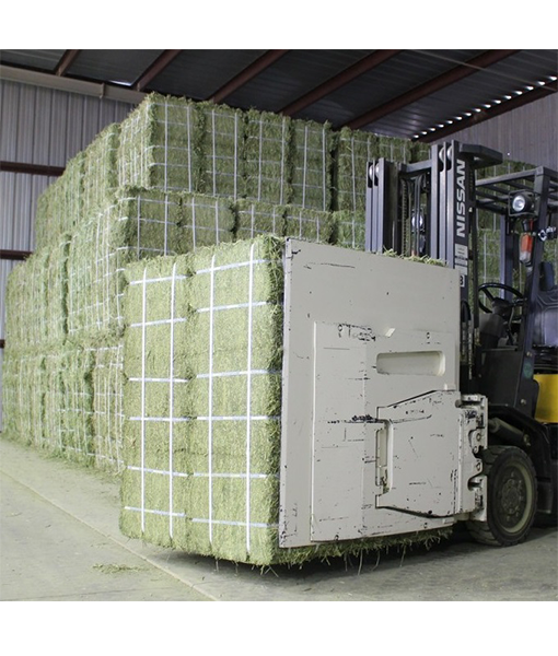 Wholesale Bulk Alfalfa HayBabaash USA