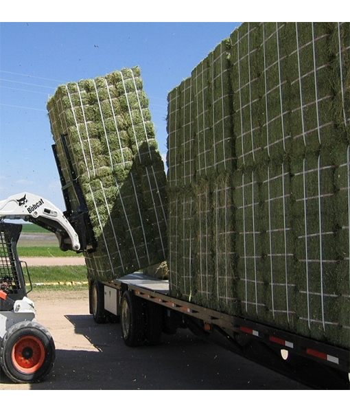 Wholesale Bulk Alfalfa HayBabaash USA