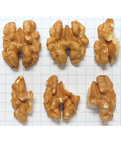 Walnuts Combo Halves & PiecesBabaash USA