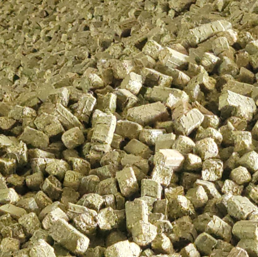 Bulk Alfalfa Hay Cubes - Sun CuredBabaash USA